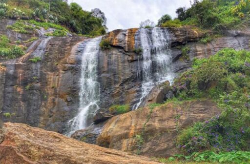 Ooty Places to Visit: Must-See Destinations in Ooty, India